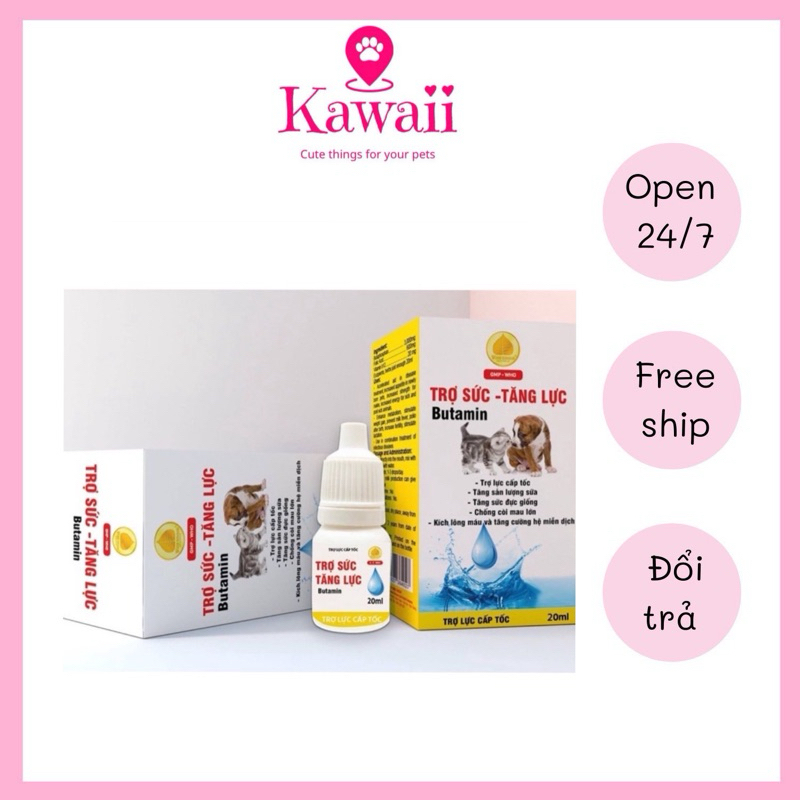 Dung dịch Uống Trợ Sức Tăng Lực Tăng Cường Trao Đổi Chất Butamin Wins ...