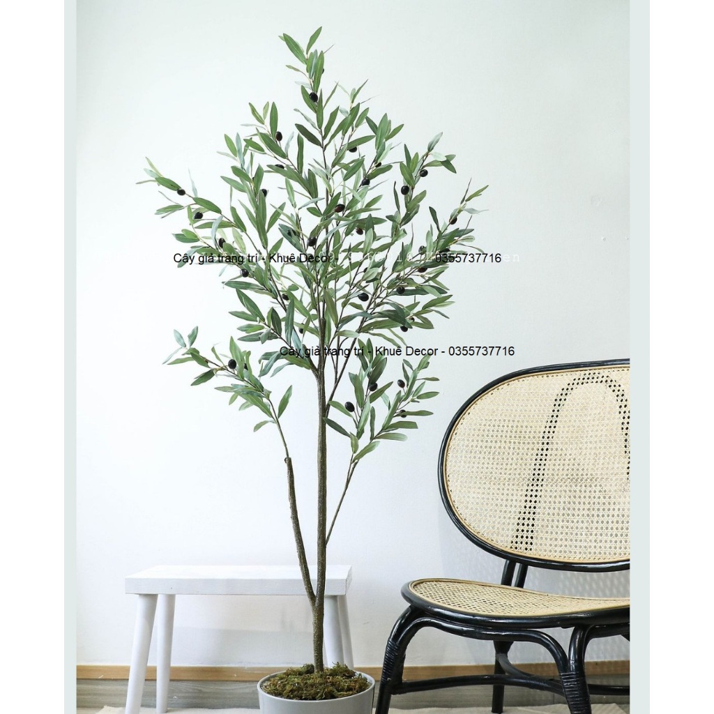 Cây ô liu 1m6 - Lá Bạc - Quả To - Hàng Cao Cấp - Cây Giả | Shopee Việt Nam