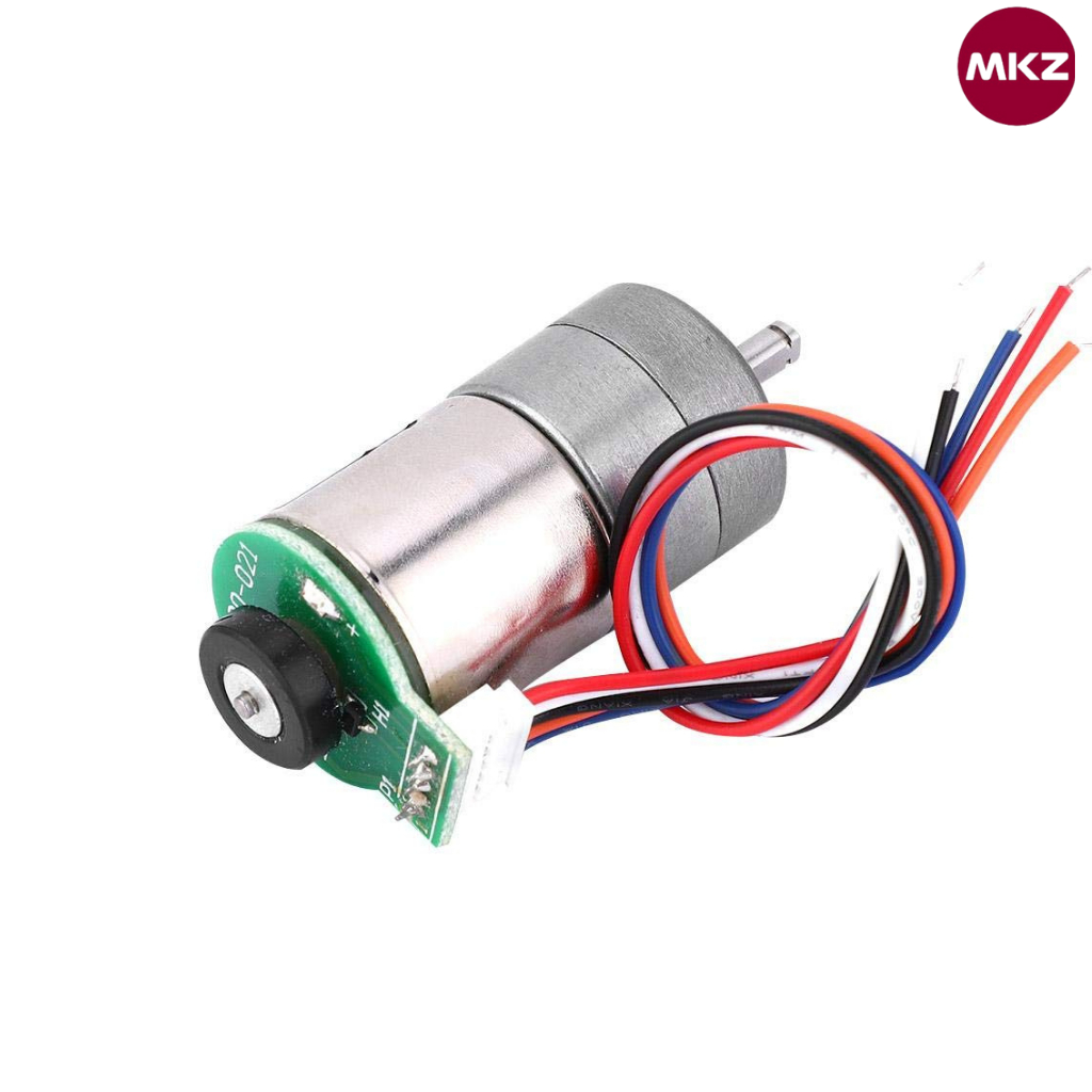 Động Cơ Giảm Tốc Kèm Encoder 6-12V 32-64 RPM 1:110 - Làm xe cân bằng ...