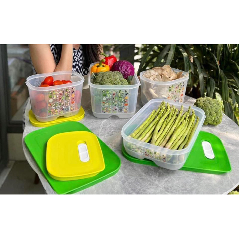 Set 4 hộp trữ mát Ventsmart Tupperware chính hãng | Shopee Việt Nam