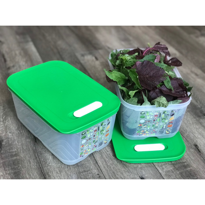 Set 4 hộp trữ mát Ventsmart Tupperware chính hãng | Shopee Việt Nam