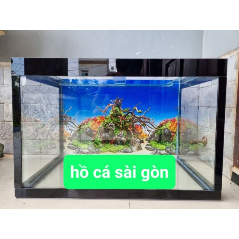 Hồ cá, bể kính, bể cá kích thước 60x40x40 (dài x rộng x cao) | Shopee ...