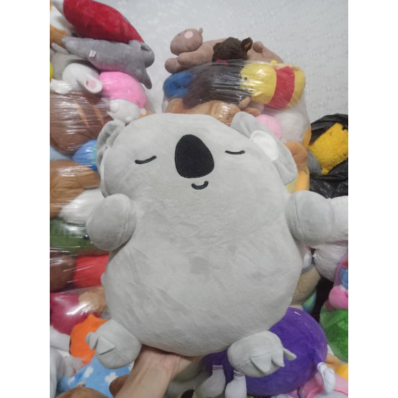 Gấu bông gấu túi koala miniso size 40-45cm | Shopee Việt Nam