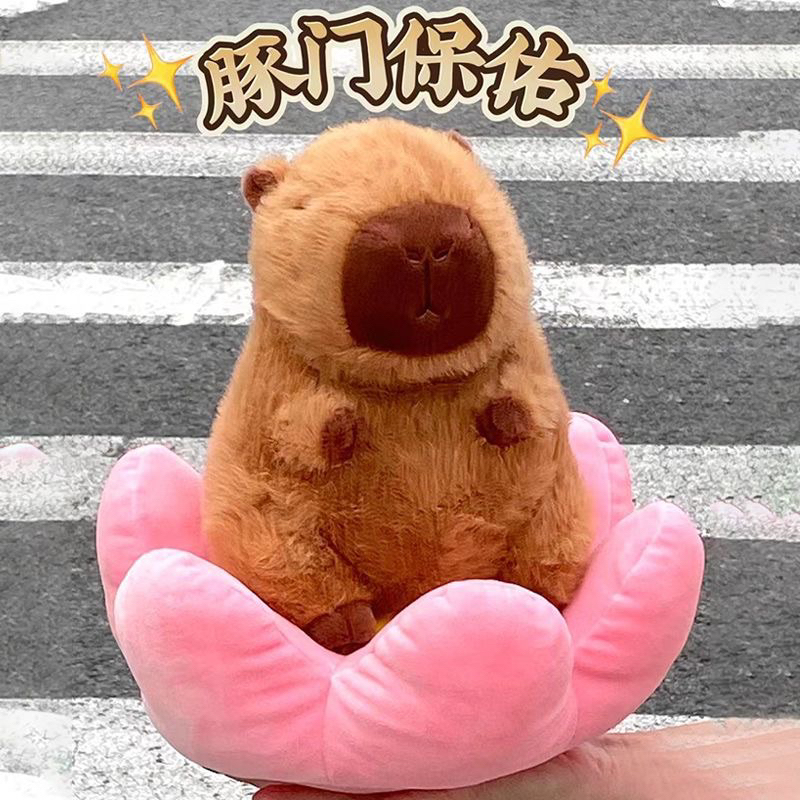 gấu bông capybara hoa sen dễ thương mềm mại 25cm sẵn | Shopee Việt Nam