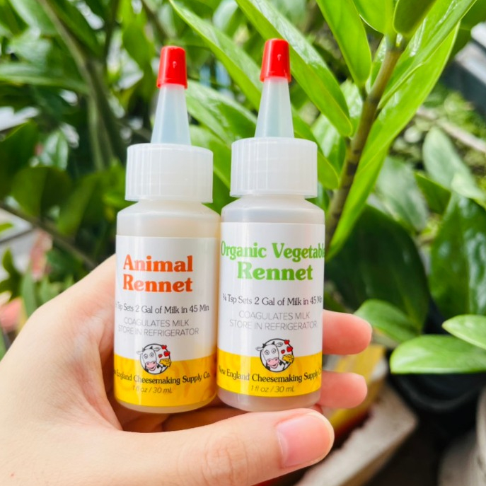 Rennet Liquid - Rennet dạng lỏng làm phô mai cheese, dịch rennet animal ...