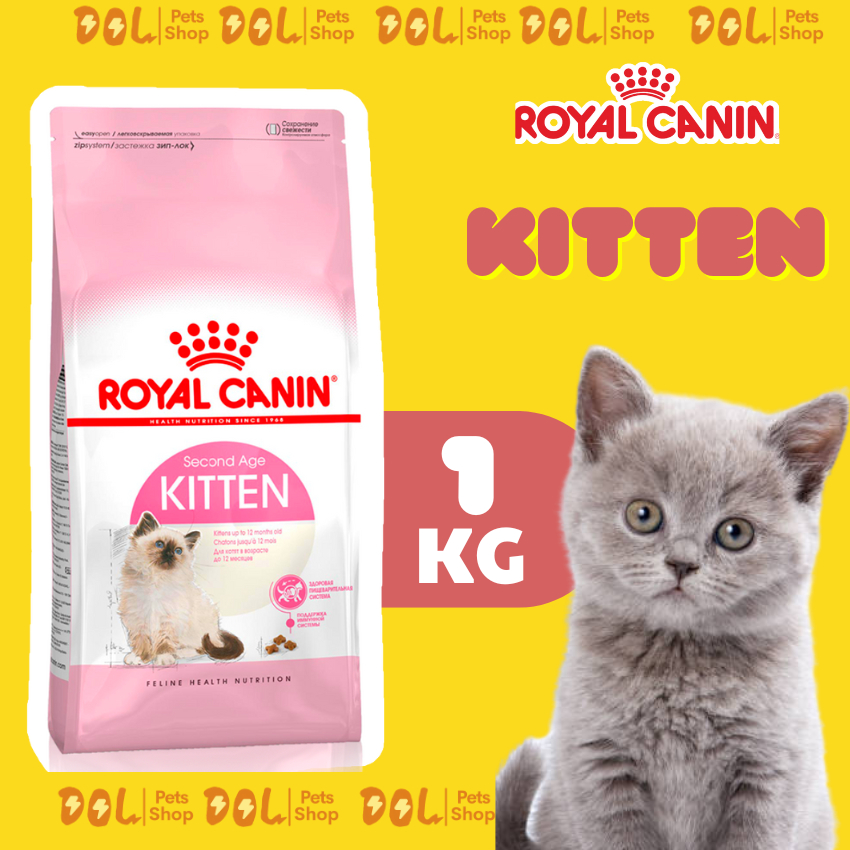 Royal Canin Kitten (Túi 1Kg) - Thức Ăn Hạt Dành Cho Mèo Con Từ Dưới 12 ...