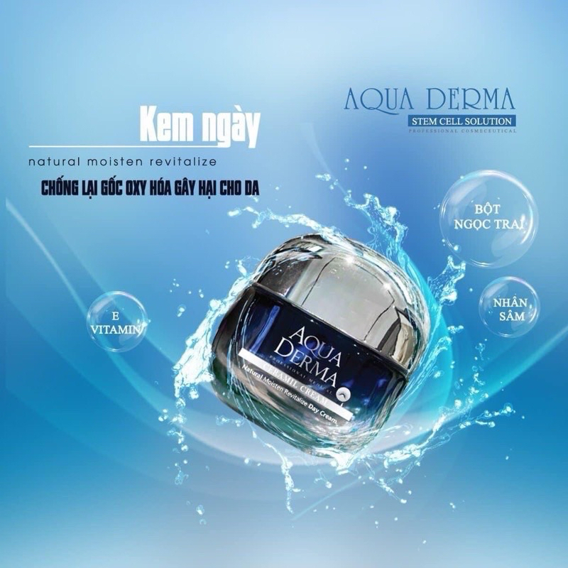 [ CHÍNH HÃNG] KEM NGÀY CERAMIL HỒNG SÂM AQUA DERMA_50gr | Shopee Việt Nam