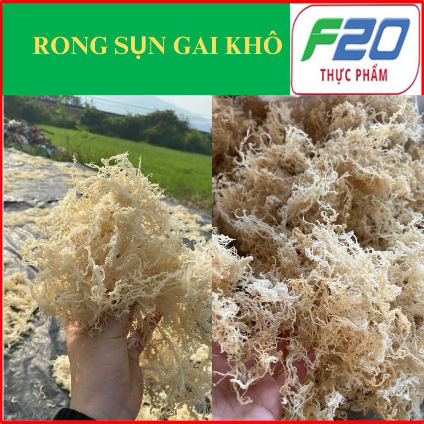 Rong sụn Khô Muối 500g - Rong sụn gai khô dùng làm sea moss gel nấu chè ...