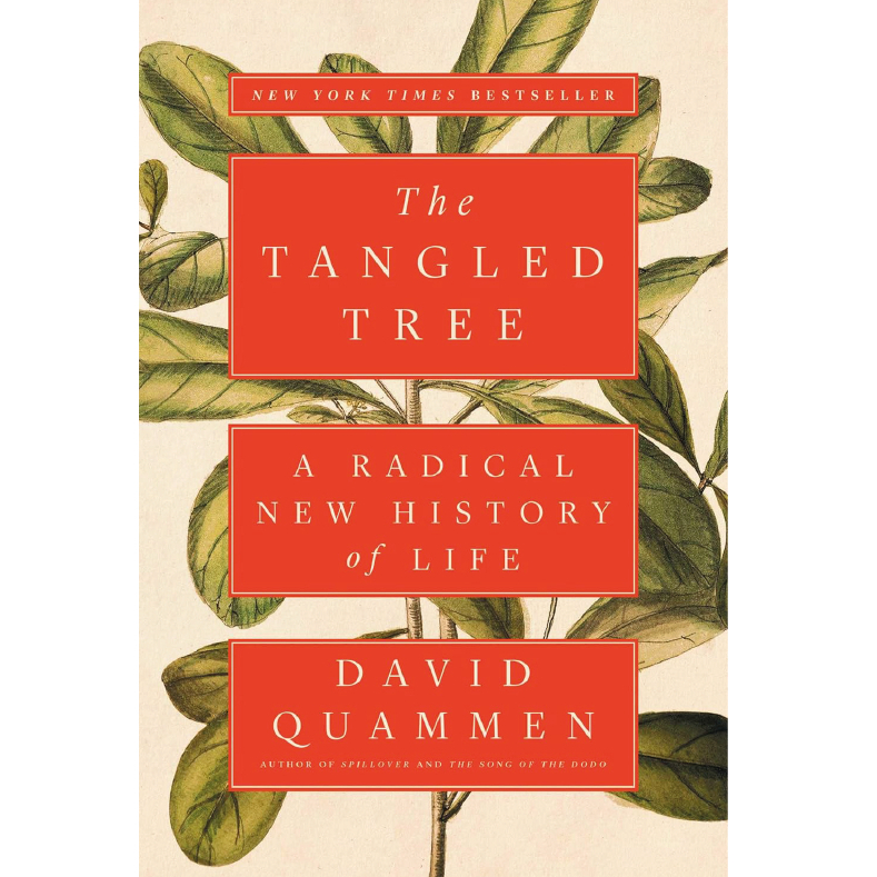 The Tangled Tree (Bìa mềm) | Shopee Việt Nam