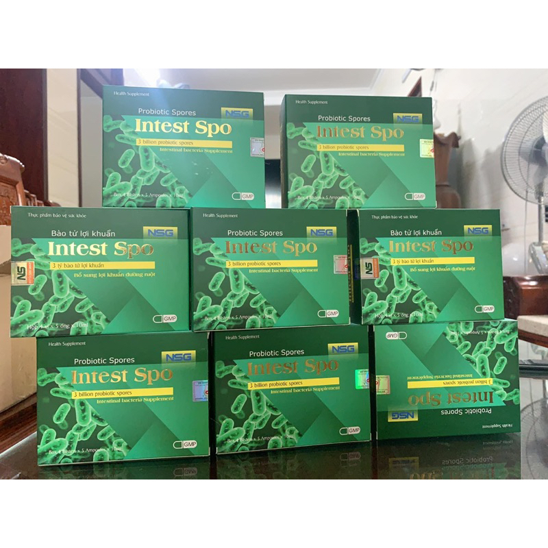 Thực phẩm bảo vệ sức khoẻ bào tử lợi khuẩn Intest Spo NSG | Shopee Việt Nam
