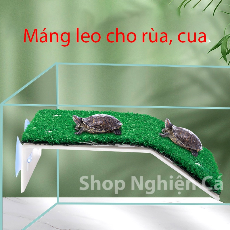 Máng leo cho rùa - phụ kiện trang trí bể nuôi rùa bò sát bãi cỏ mô ...