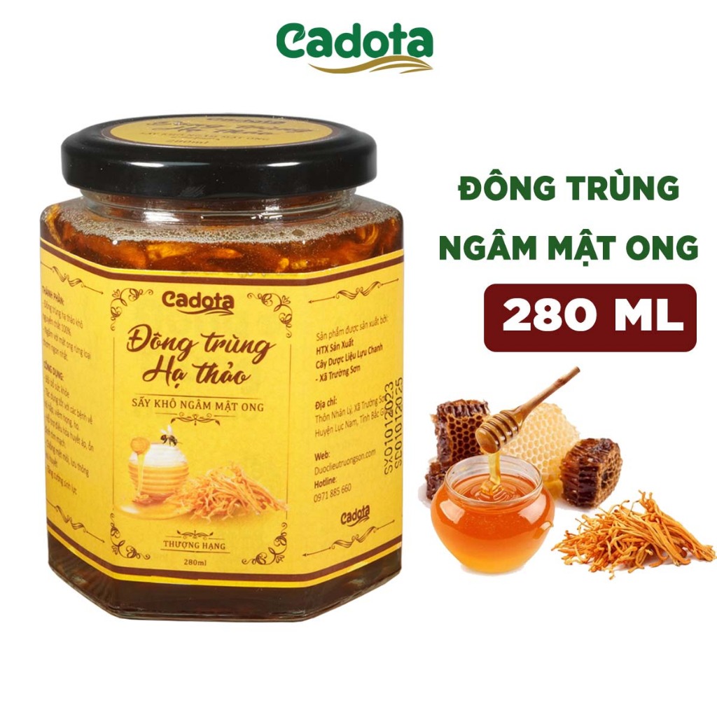 Đông trùng hạ thảo ngâm mật ong nguyên chất Cadota hũ 280ml | Shopee Việt Nam