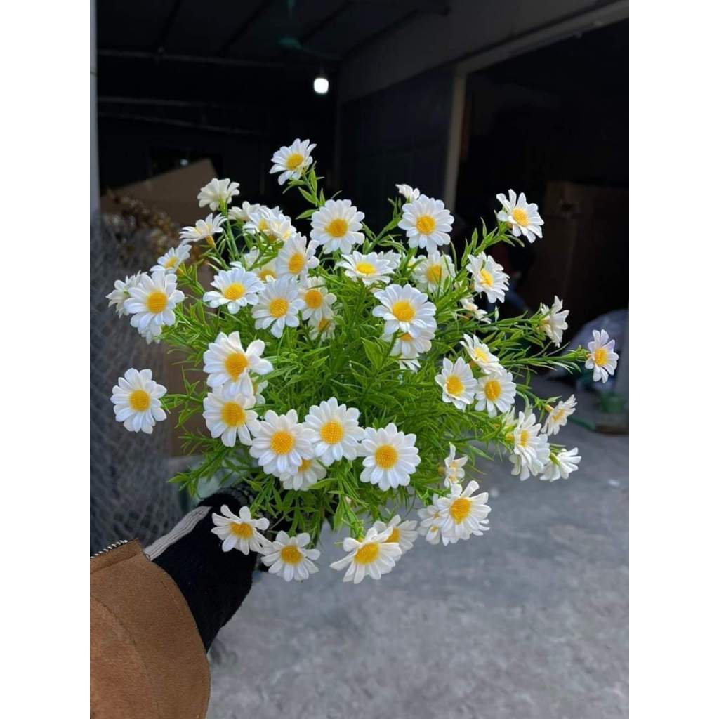 Cành cúc trang trí giỏ hoa quả, Cành cúc họa mi decor nhà cửa (10 cành ...
