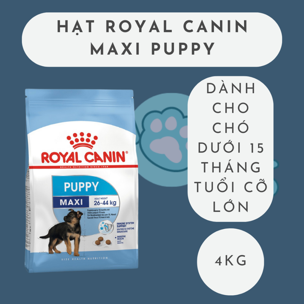 [4kg] ROYAL CANIN MAXI PUPPY | Shopee Việt Nam