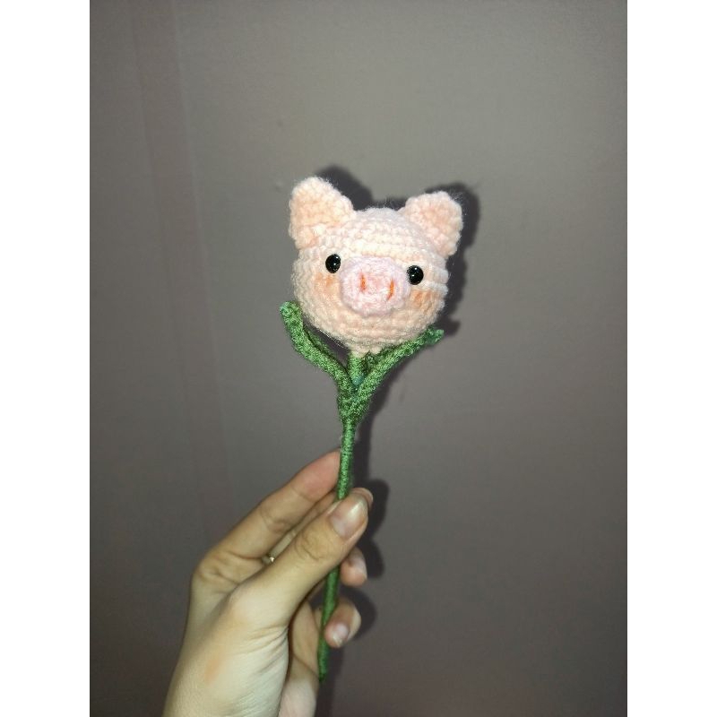 hoa heo len cute(ảnh thật) | Shopee Việt Nam