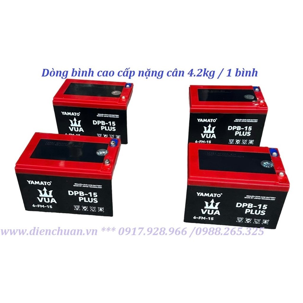 Bộ 4 bình ắc quy xe đạp điện 48V 15Ah Yamato Vua 6-DPB-15 Dòng cao cấp ...