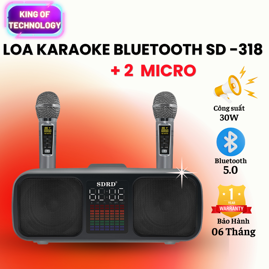 Loa Karaoke Bluetooth SD- 318 2 Mic Không dây, Công suất 30W, Bảo Hành 06 tháng | Shopee Việt Nam