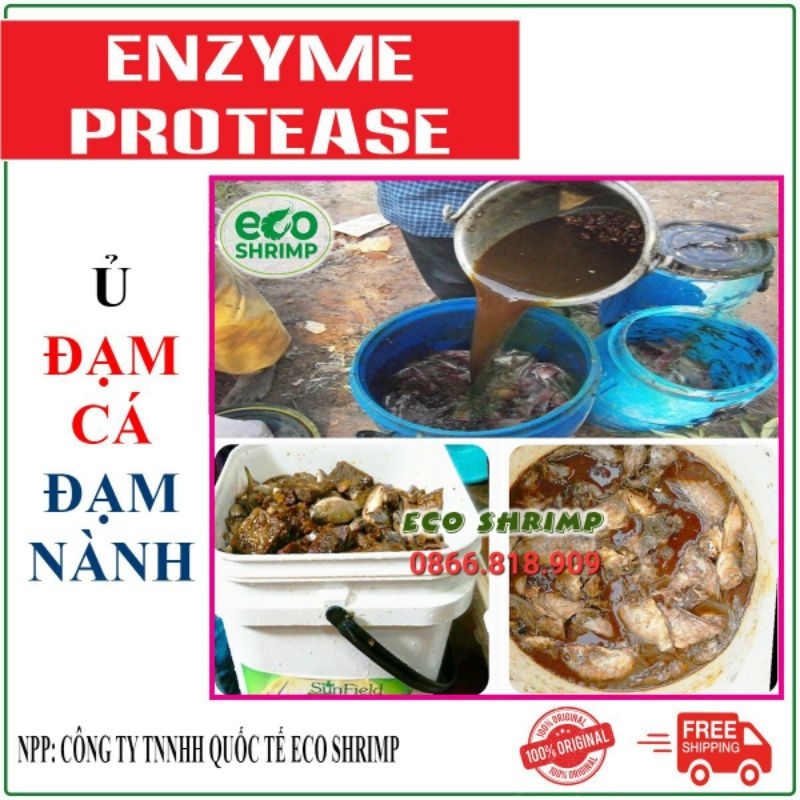 Enzyme Protease Phân Giải Protein - Nguyên Liệu Nhập Khẩu Gói 1 kg - Ủ ...