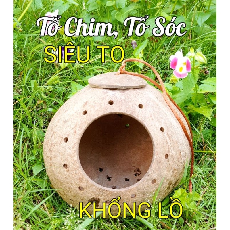 Tổ Chim, Tổ Sóc, Tổ chuột SIÊU TO, KHỔNG LỒ/ Ổ chuột gáo dừa siêu to ...