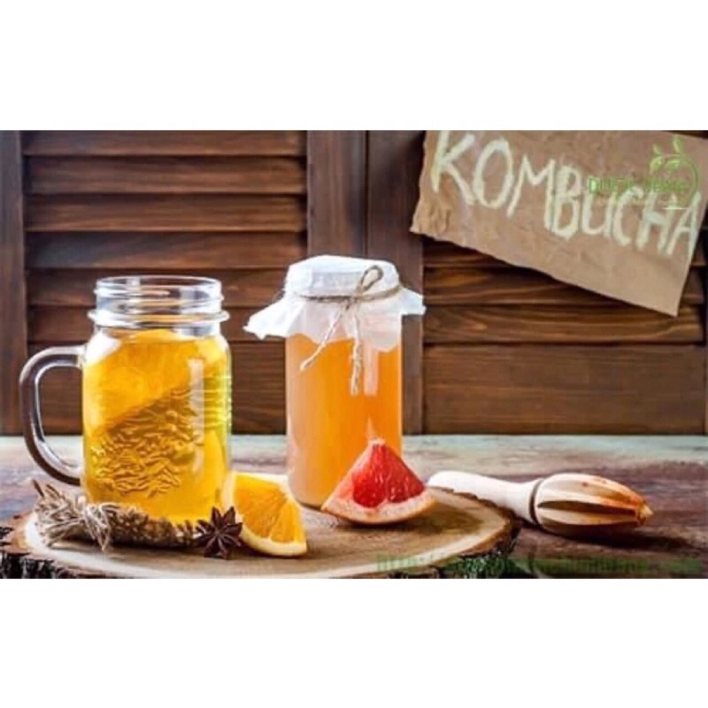kombucha tea Men Vi sinh Scooby | Shopee Việt Nam