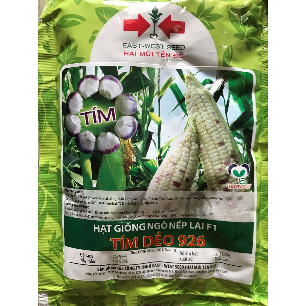 Hạt giống bắp (ngô) nếp lai F1 TÍM DẼO 926 Hai Mũi Tên Đỏ gói 500gram ...