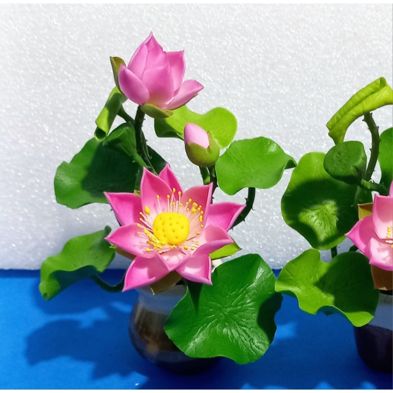 (HOA ĐẤT SÉT) Chậu hoa sen đất sét mini-chậu hoa để bàn mini | Shopee ...