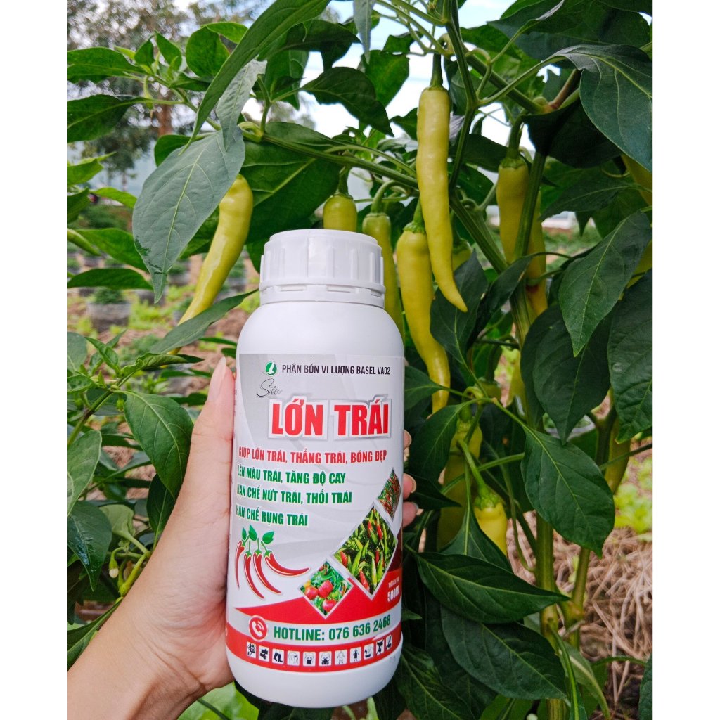 Phân bón Lớn trái ớt và rau màu 500ml - Trái lớn nhanh, đẹp màu, dưỡng ...