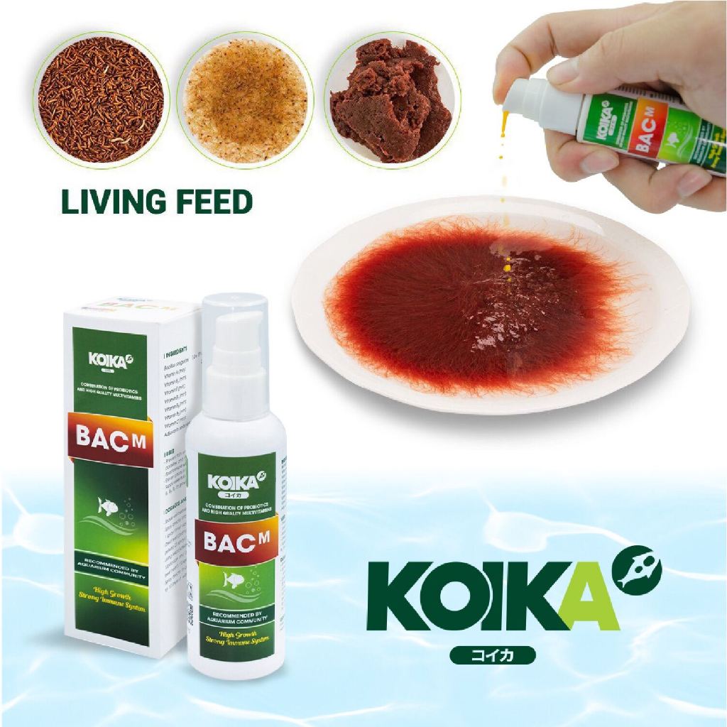 KOIKA BAC M ( 30 - 105ml) - Vi sinh đường ruột kết hợp vitamin cao cấp ...