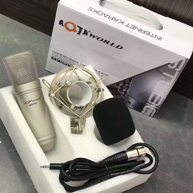 Mic Thu Âm Aqta AQ -100 và Mic Thu Âm BM-900. NL | Shopee Việt Nam