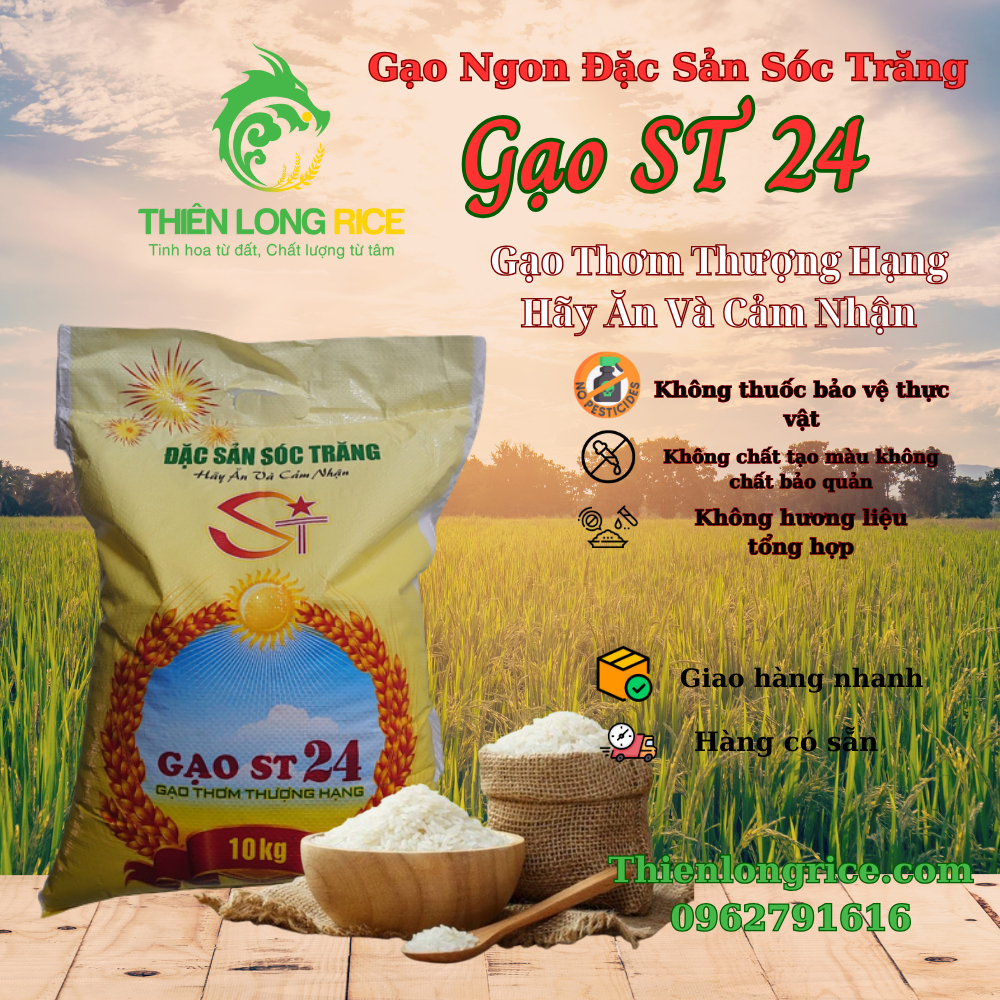 Gạo ST 24 Đặc Sản Sóc Trăng Hàng Loại 1 Thiên Long Rice Gạo Thơm Thượng ...