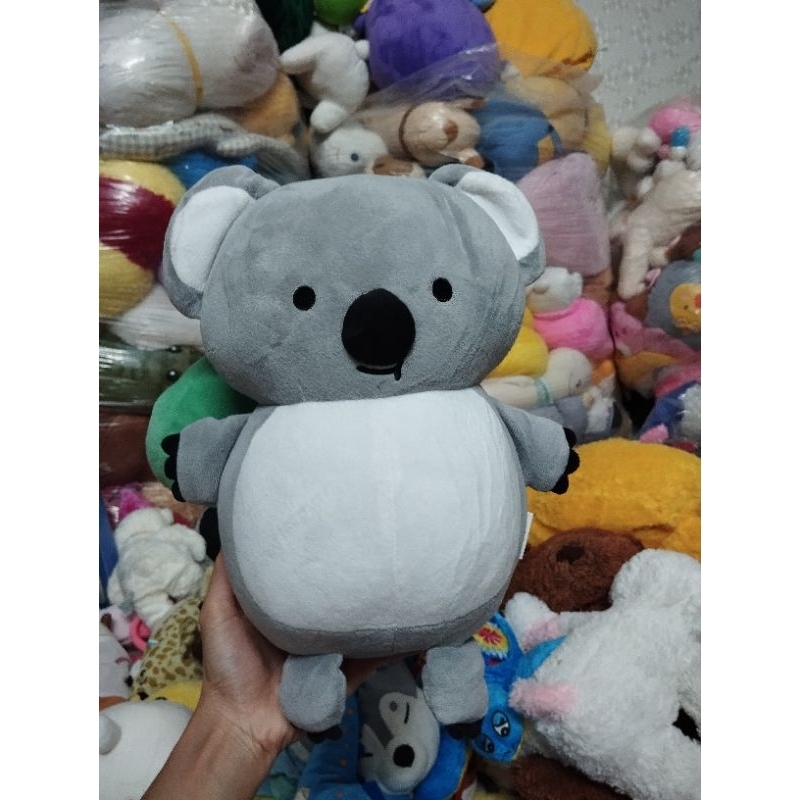 Gấu bông gấu túi koala miniso size 40-45cm | Shopee Việt Nam