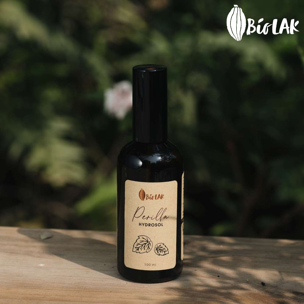 Perilla Hydrosol - Nước cất tía tô bản địa Vườn Biolak 100ml Mát, lành ...