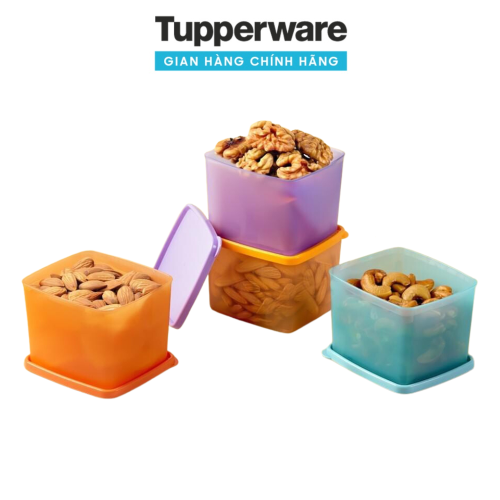 Bộ Hộp BQTP Tupperware Medium Square Round 840ml | Shopee Việt Nam