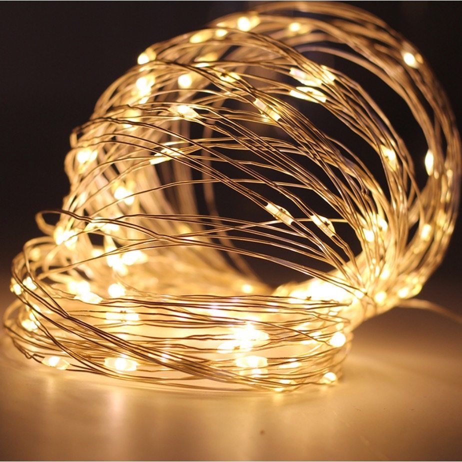 Dây Đèn LED Trang Trí Fairylight Đom Đóm Có Sẵn Pin | Shopee Việt Nam
