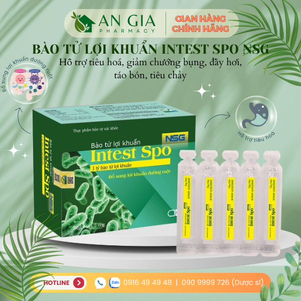 [CHÍNH HÃNG] Bào tử lợi khuẩn Intest Spo NSG hộp 20 ống 10 ml lợi khuẩn ...