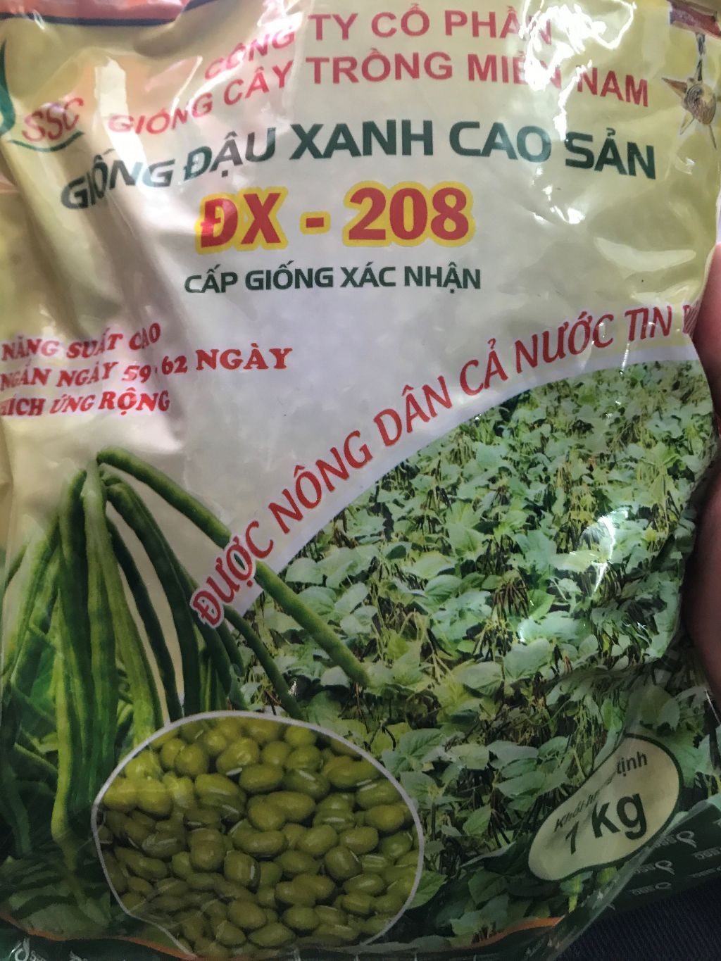 Hạt giống đậu xanh cao sản DX - 208 Giống Cây Trồng Miền Nam gói 1kg | Shopee Việt Nam