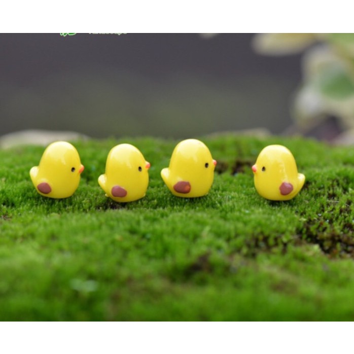 Gà con mini - Phụ kiện trang trí tiểu cảnh, sen đá, xương rồng, DIY ...