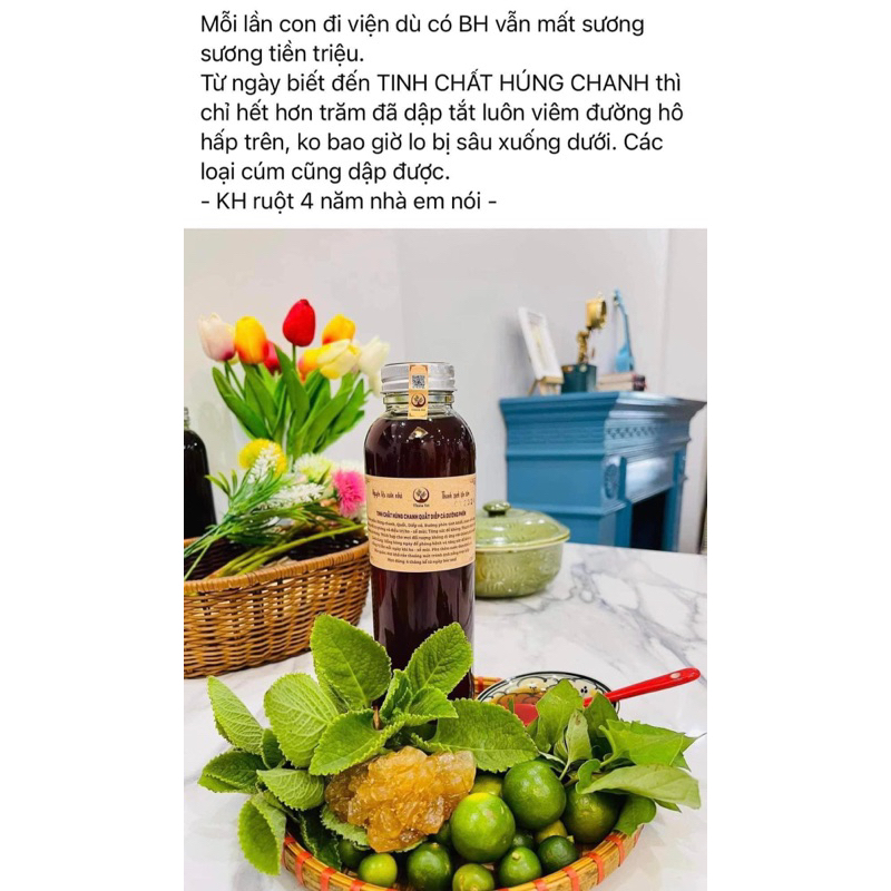 Sirro Ho Thiên Tri 300ml (Húng chanh, quất, đường phèn, diếp cá, quất ...