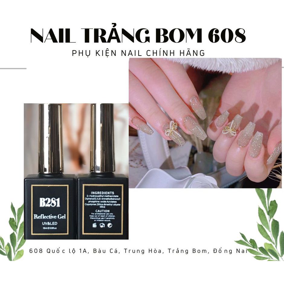 [NAIL TRẢNG BOM] Sơn Gel Kim Tuyến Nhũ Flash B281 Bạc , Vàng Hàng Chính ...