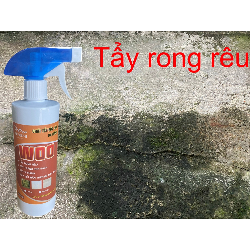Tẩy rong rêu, tẩy rêu mốc, tẩy trắng ron gạch, tẩy xi măng, tẩy vết bẩn ...