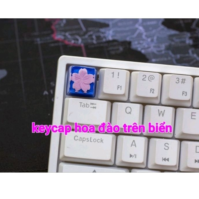 Keycap résin hoa đào trên biển trang trí bàn phím cơ gaming | Shopee ...