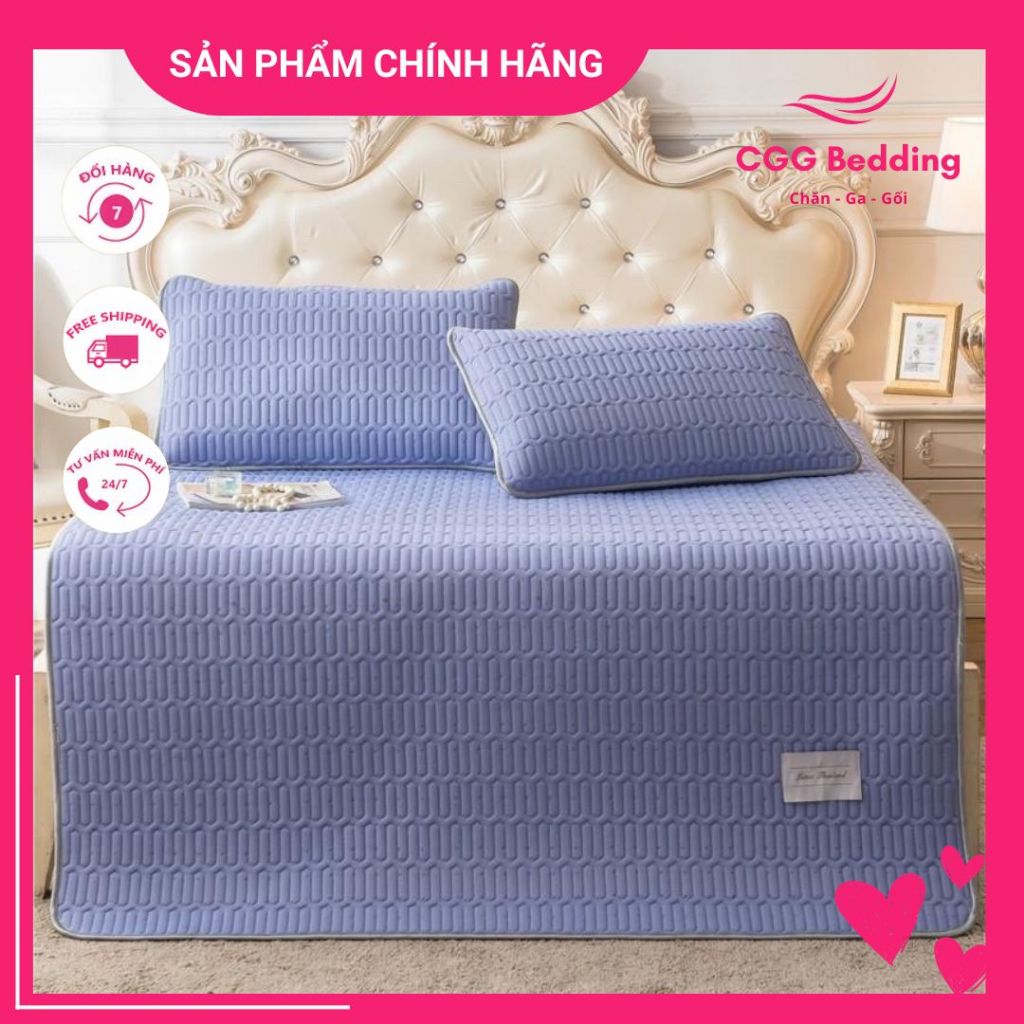 Bộ Chiếu Điều Hòa Cao Su Non CGG Bedding | Shopee Việt Nam