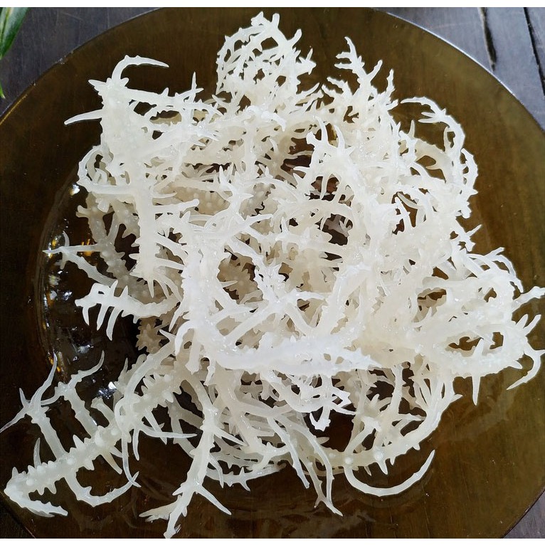 Rong Sụn Dùng Nấu Chè, Làm Gỏi, Nấu Thạch Rau Câu 100G | Shopee Việt Nam