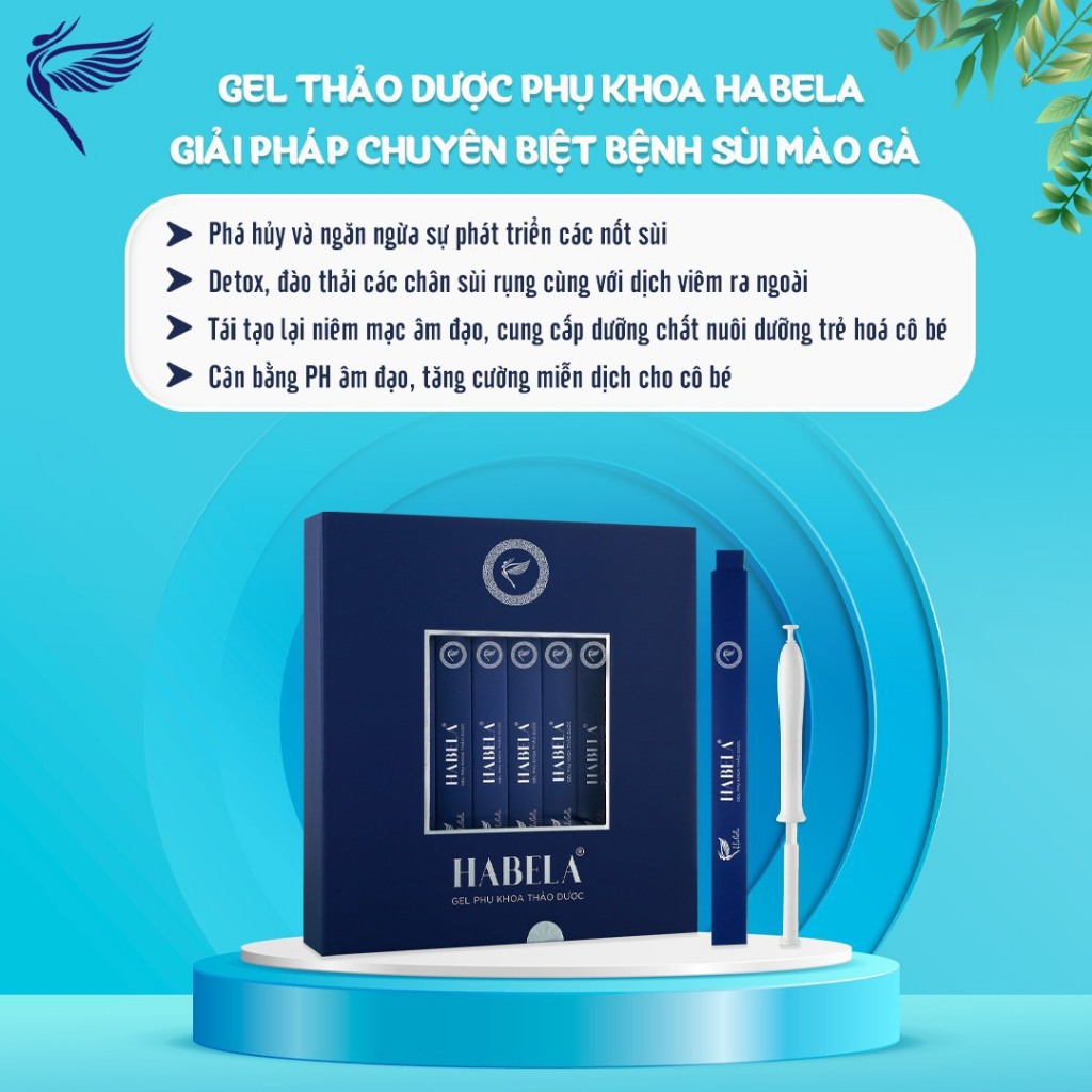 Combo hộp 10 đũa Gel thảo dược Habela | Shopee Việt Nam