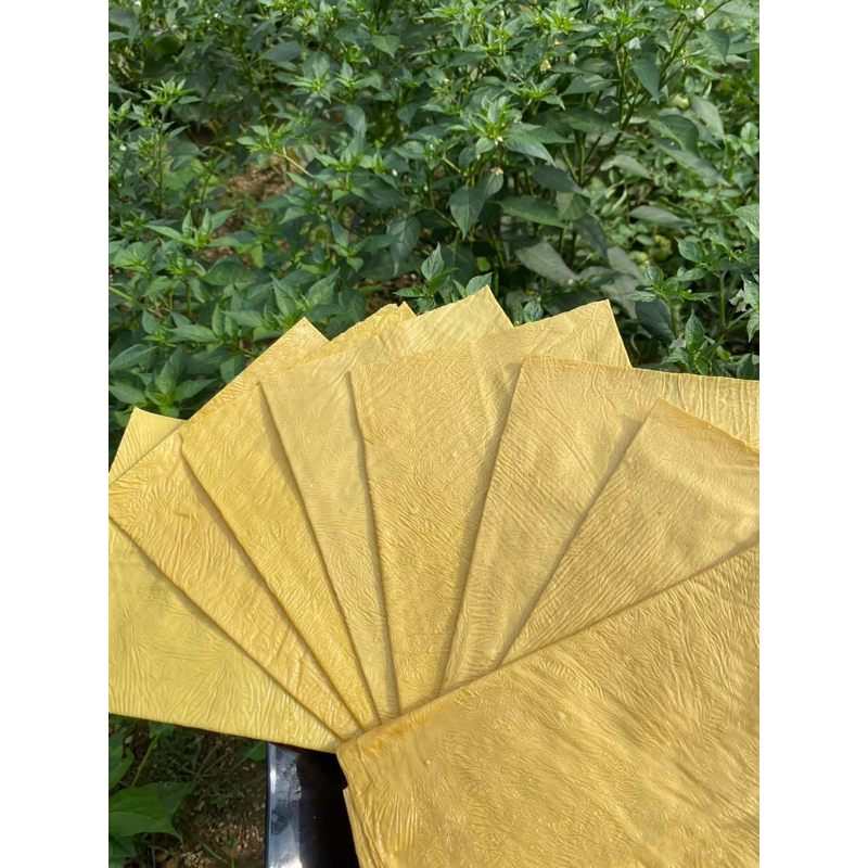 Phù trúc lá 1kg | Shopee Việt Nam