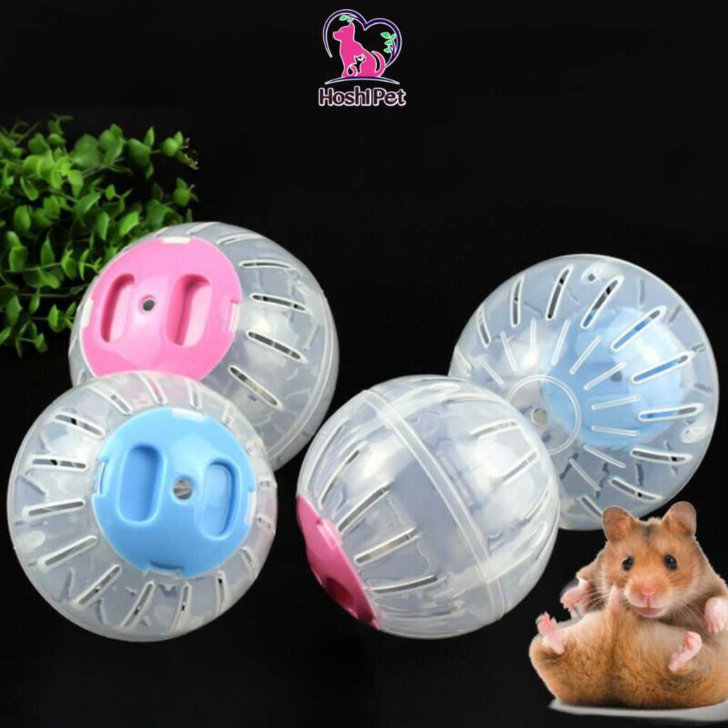 Bóng chạy cho hamster size 12cm Hoshi Pet - Đồ chơi banh chạy nhỏ chuột ...