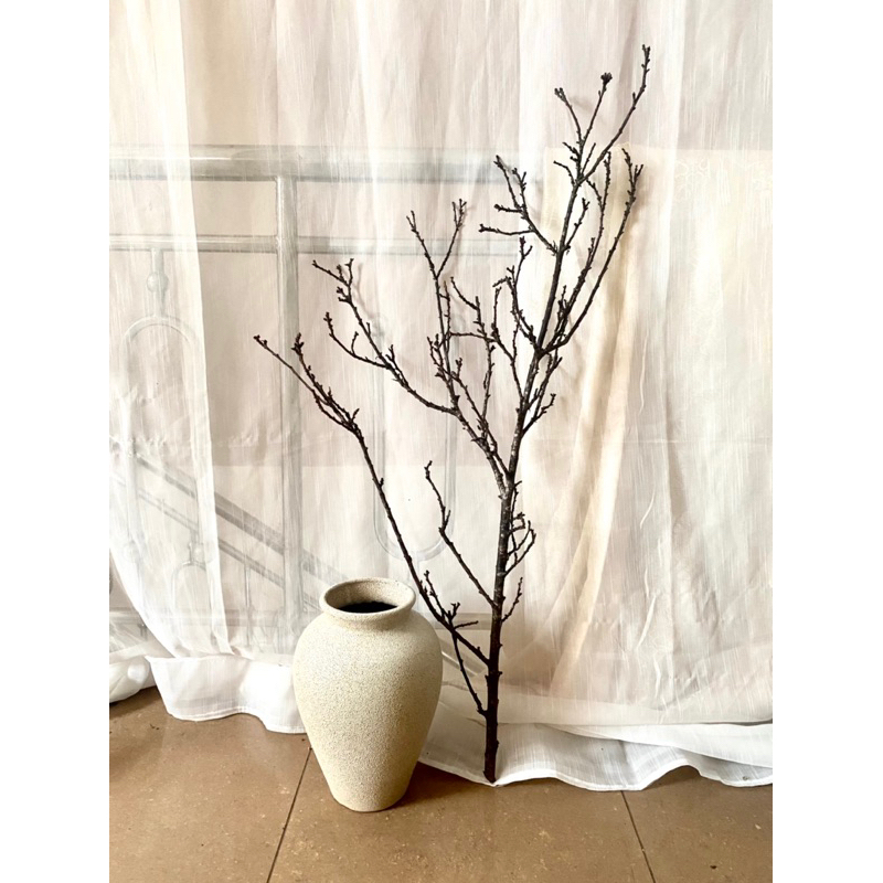 COMBO 5 cành khô cắm hoa decor concept studio chụp ảnh, trang trí tết ...
