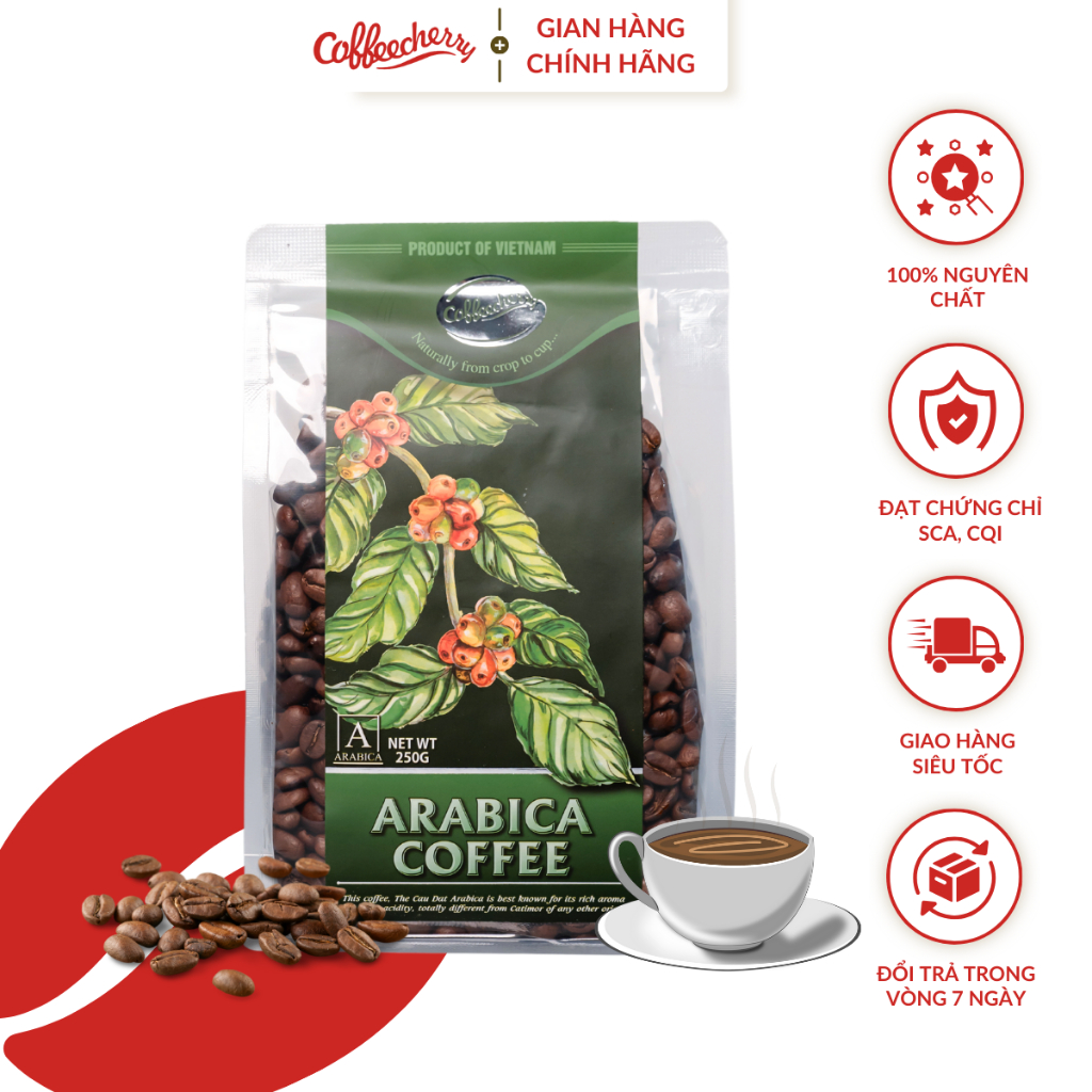 Cà phê Arabica Catimor CHẤT LƯỢNG CAO CoffeeCherry 250g | Shopee Việt Nam