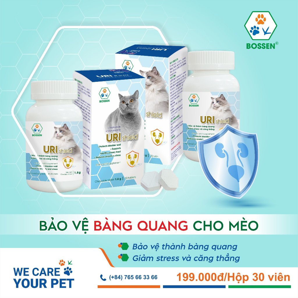BOSSEN - URI Shield (cats) hỗ trợ bảo vệ bàng quang cho mèo, giúp tiết niệu khỏe, 1 hộp 30 viên ...