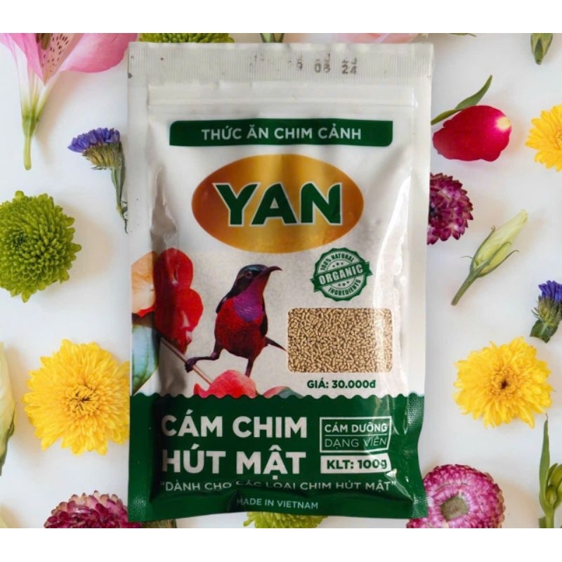 Cám YAN dưỡng cho chim hút mật | Shopee Việt Nam